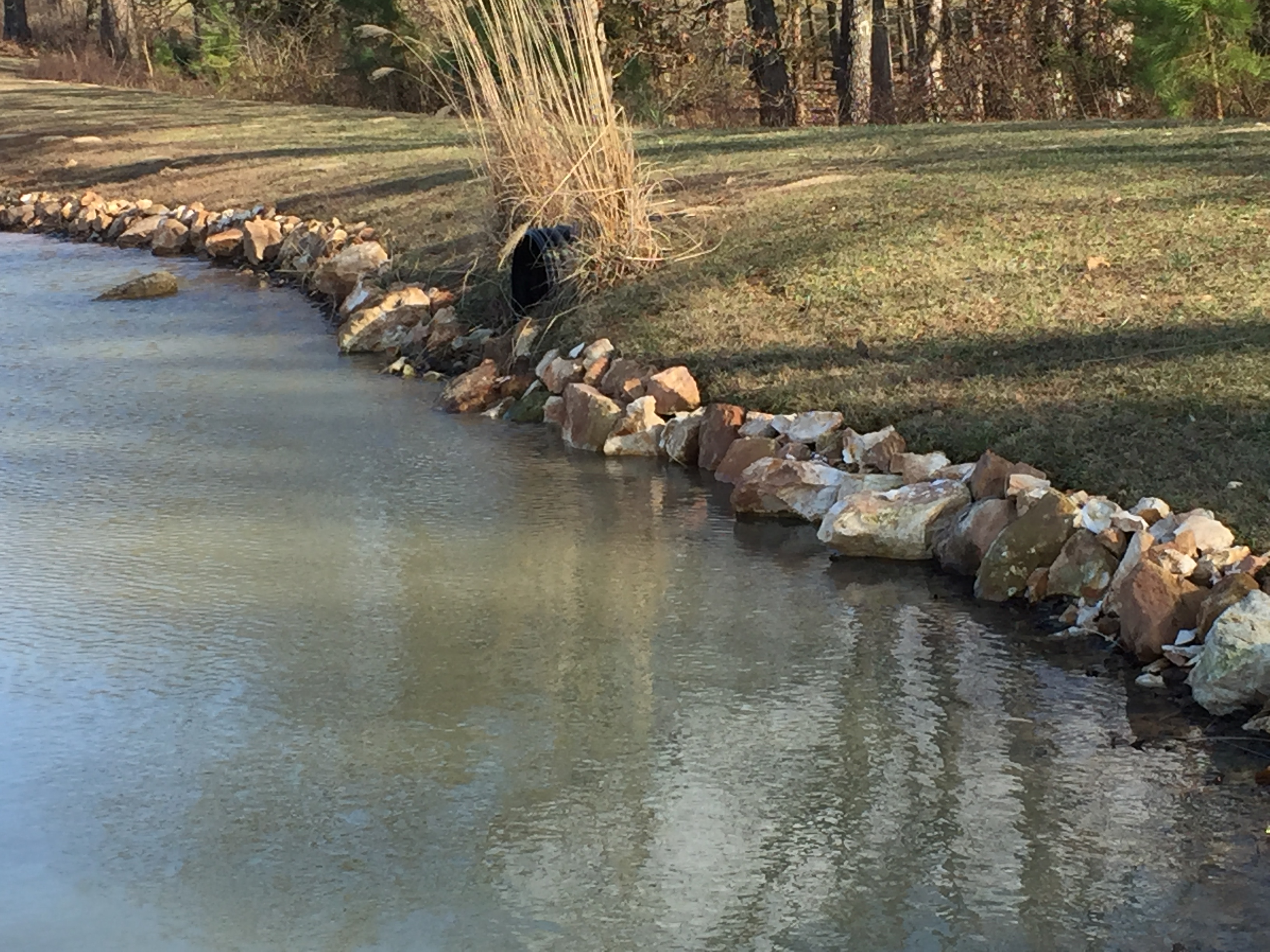 You’d better “Shore up” before it’s too late – Eldon's Porch